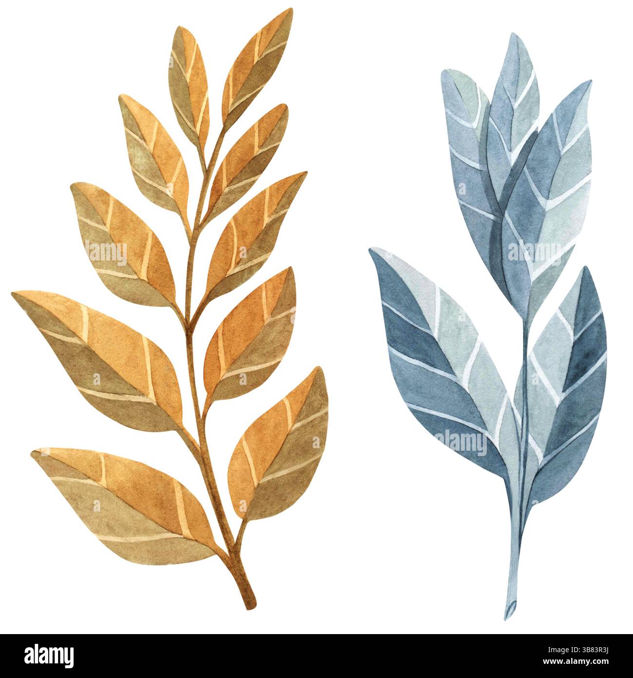 Abstract designs in vibrant colors Cut Out Stock Images & Pictures - Alamy