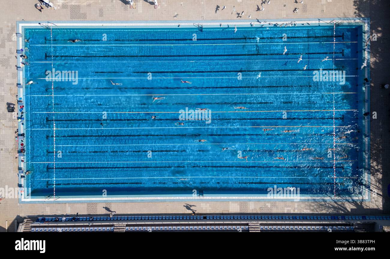Top-down aerial view of swimmers training in an outdoor swimming pool ...