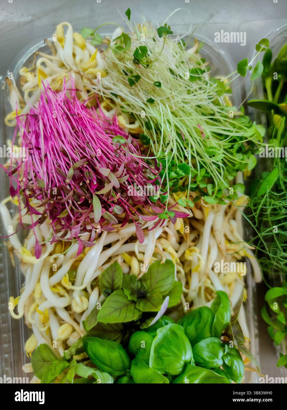 Sproutsbox hi-res stock photography and images - Alamy