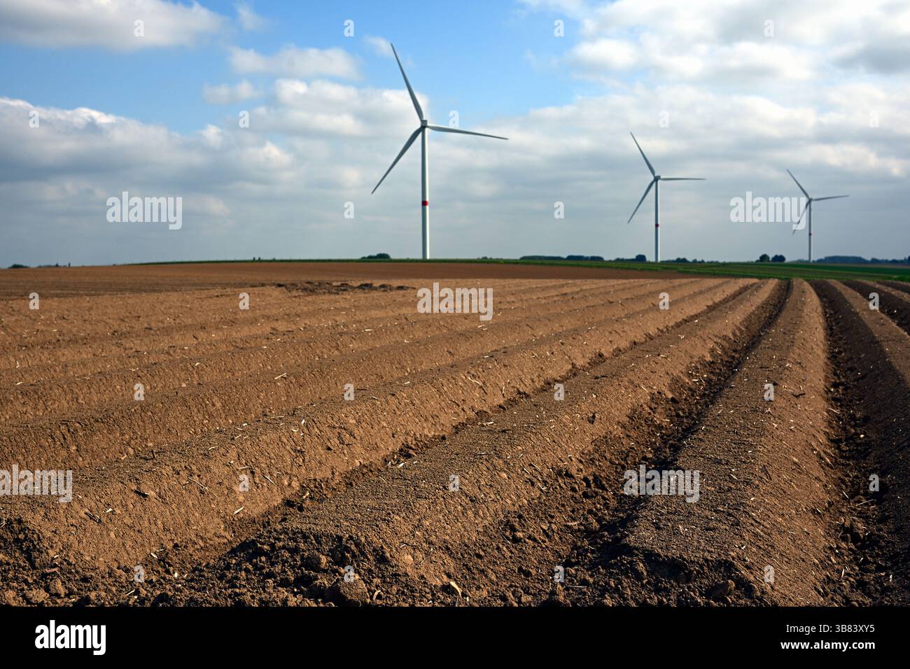 Illustration picture shows a field, in Geer, on Wednesday 07 May 2025 ...