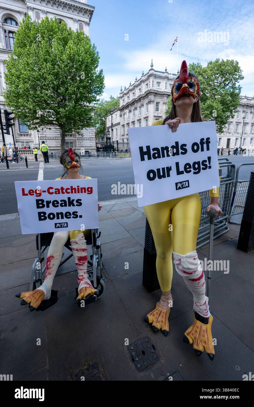 London, UK. 7 May 2025. Members of PETA, People for the Ethical ...