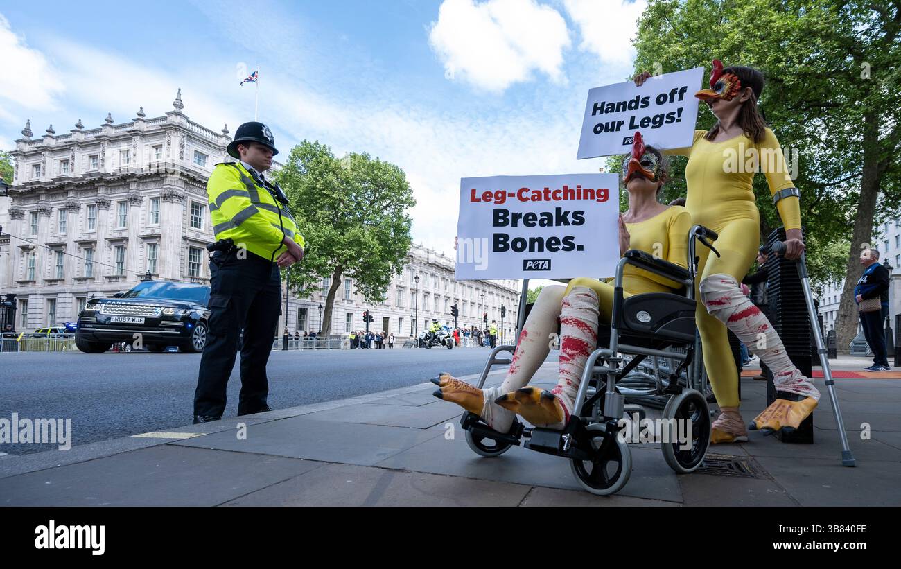 London, UK. 7 May 2025. Members of PETA, People for the Ethical ...