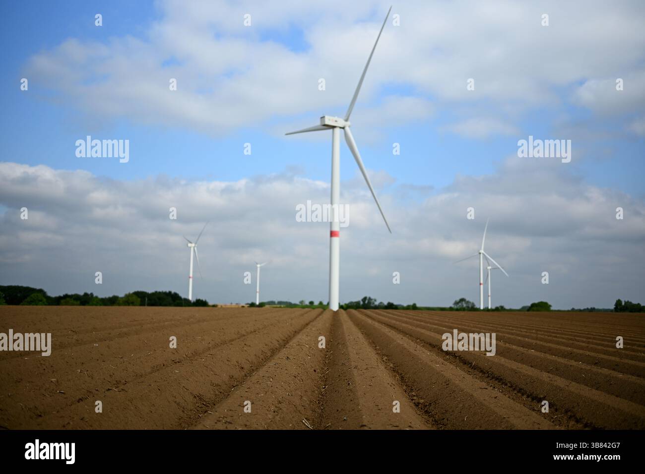 Geer, Belgium. 07th May, 2025. Illustration picture shows a field, in ...