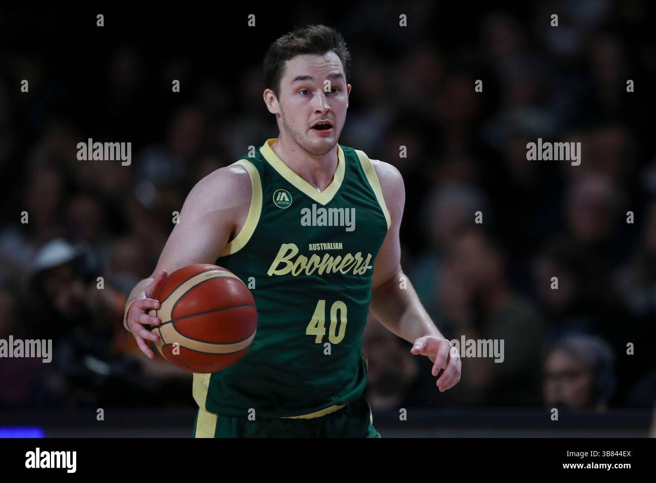 Elijah Pepper of the Boomers during the Basketball Australia New ...