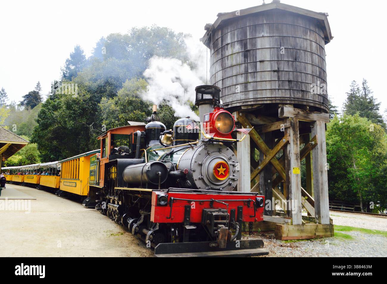 Old steam train arriving in station at Henry Cowell Redwoods State Park ...