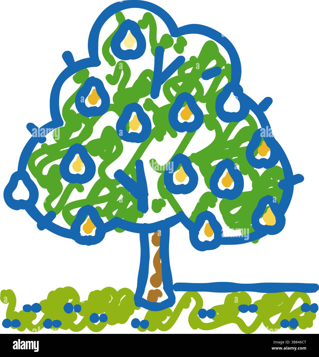 Asian pear tree Stock Vector Images - Alamy