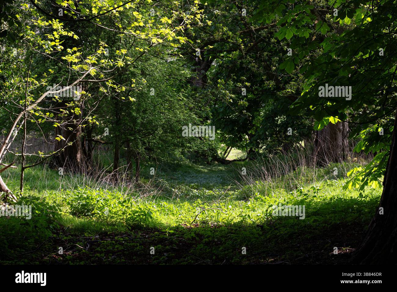 Peak district tunnel bridge hi-res stock photography and images - Alamy