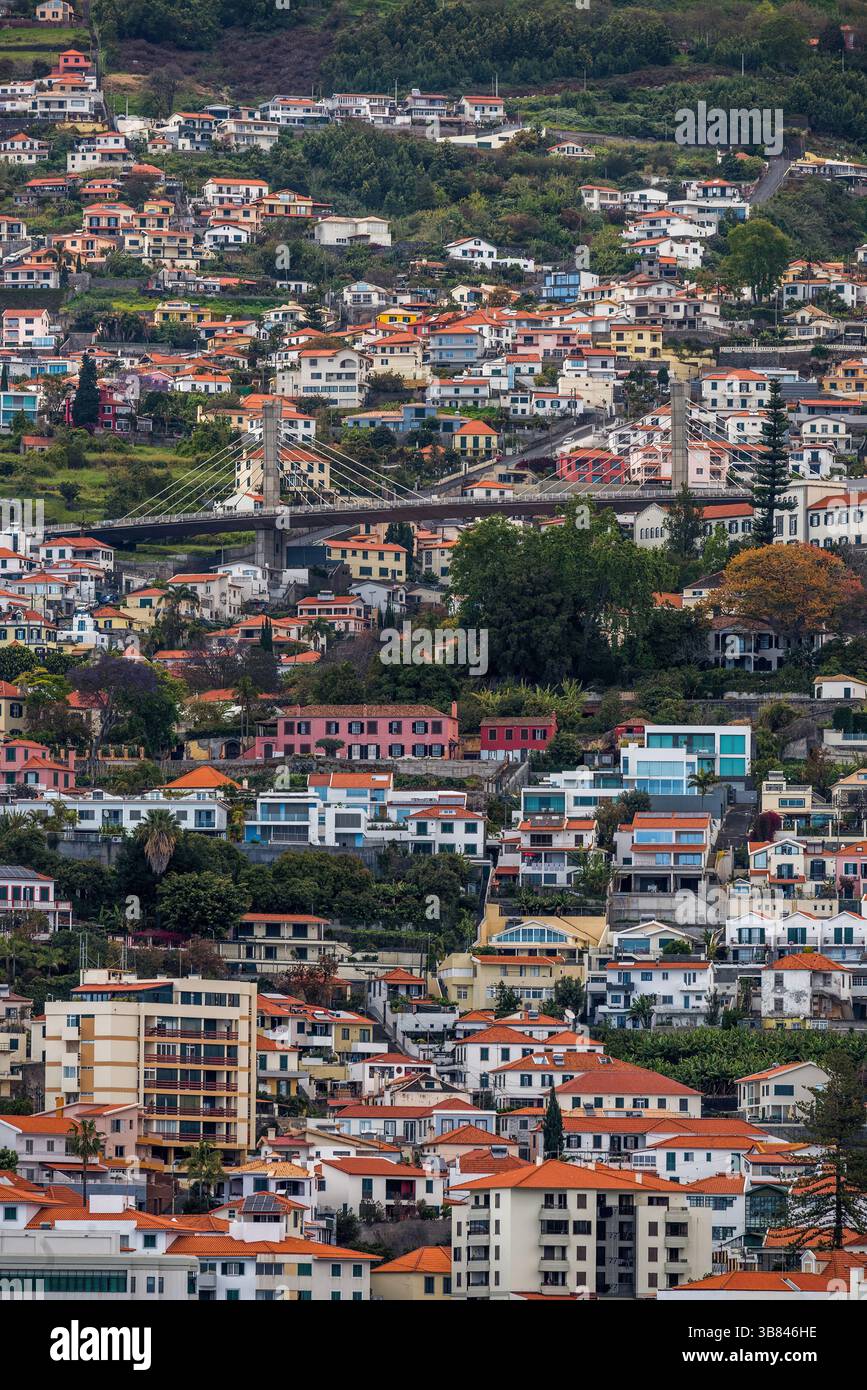 Colorful urban landscape of Funchal, Madeira showing traditional ...
