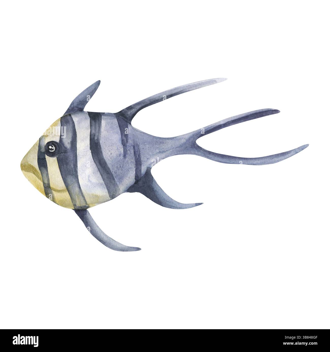 Underwater fish marine life Cut Out Stock Images & Pictures - Alamy