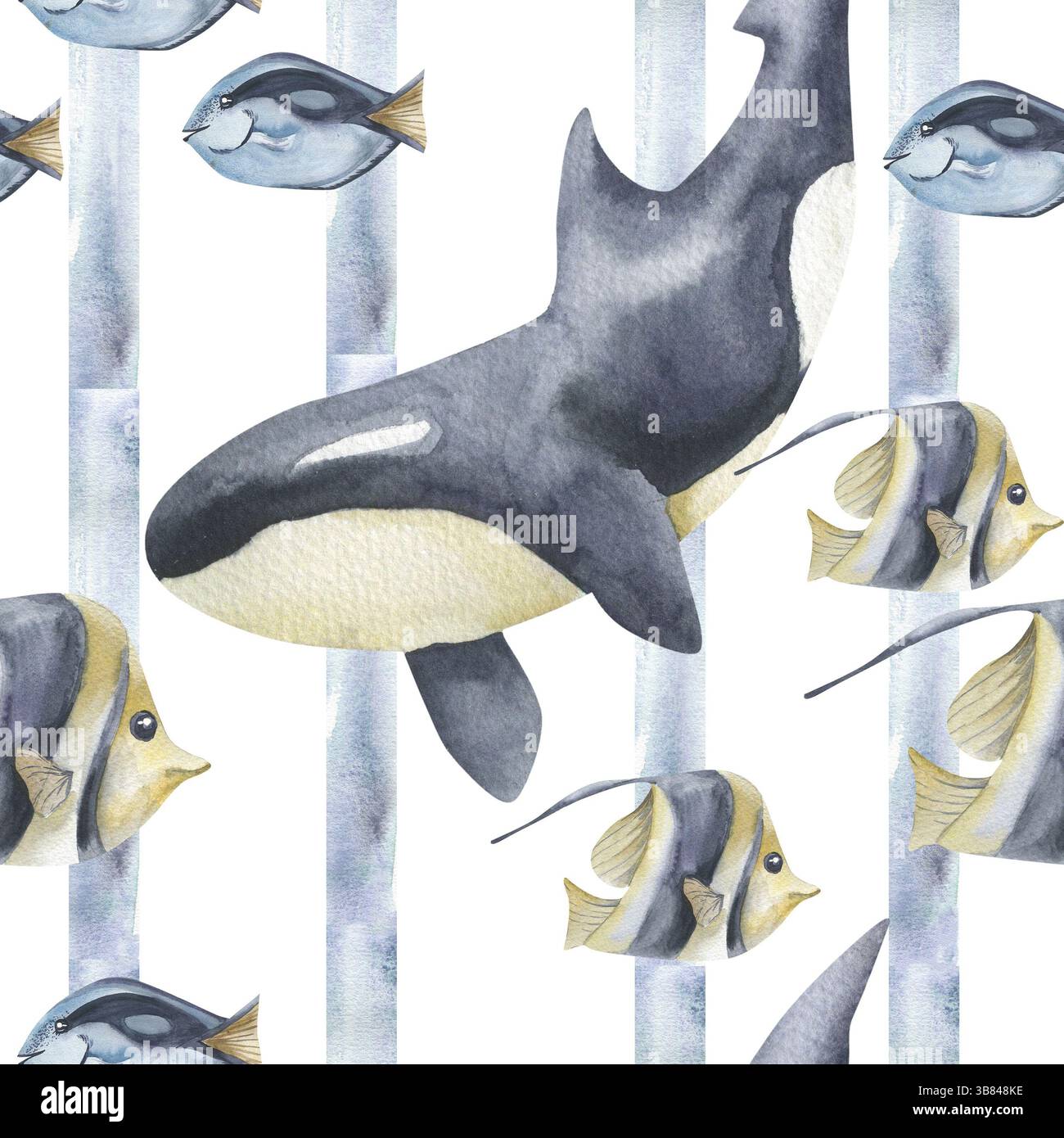Marine watercolor seamless pattern with black orca,striped and blue ...