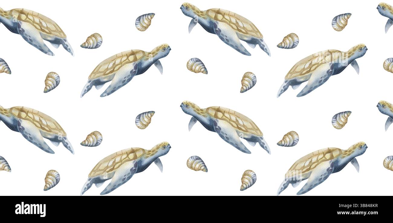 Marine watercolor seamless border with big turtle and shells in ...