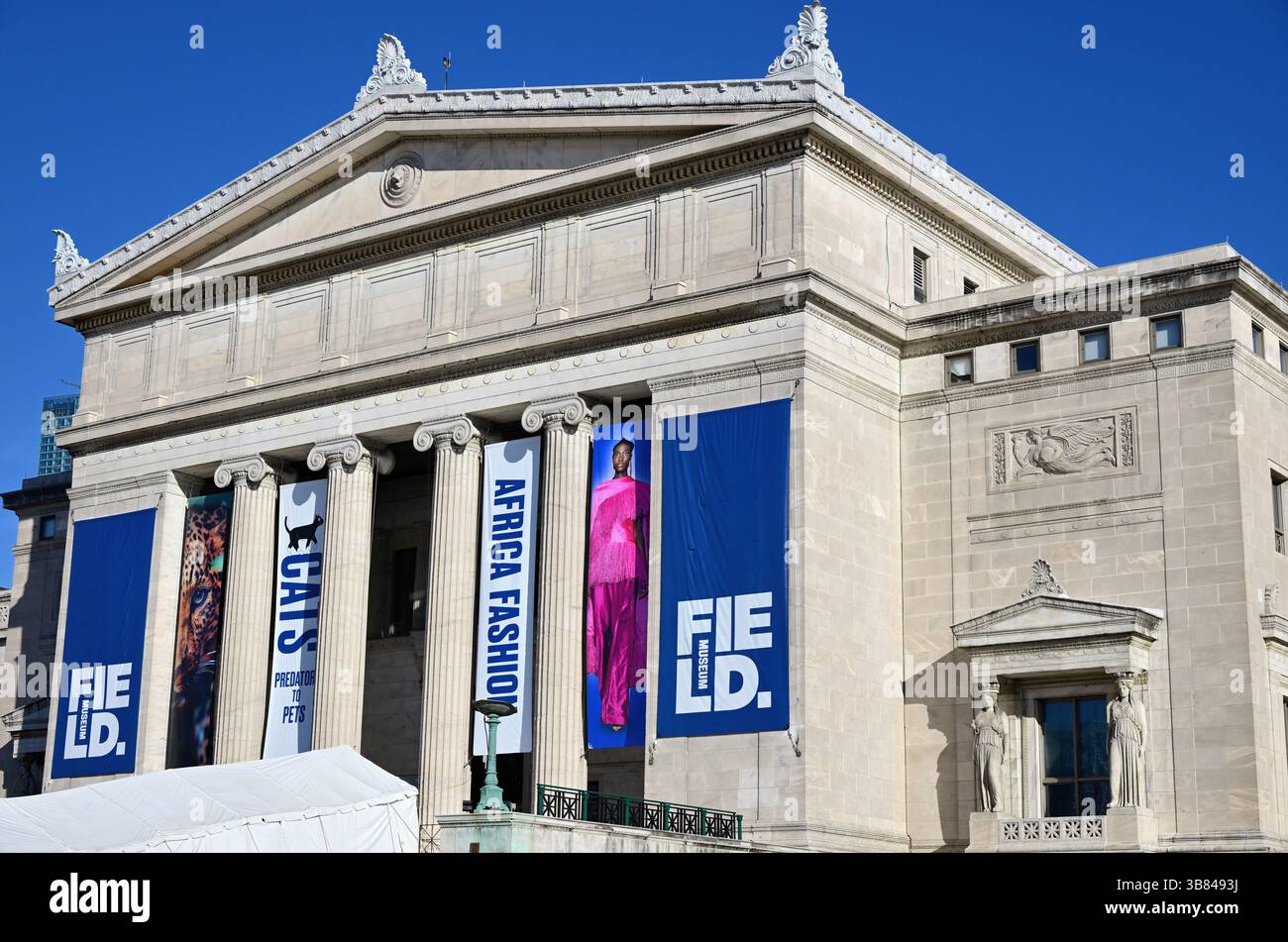 Chicago, Illinois, USA. The Field Museum of Natural History located ...