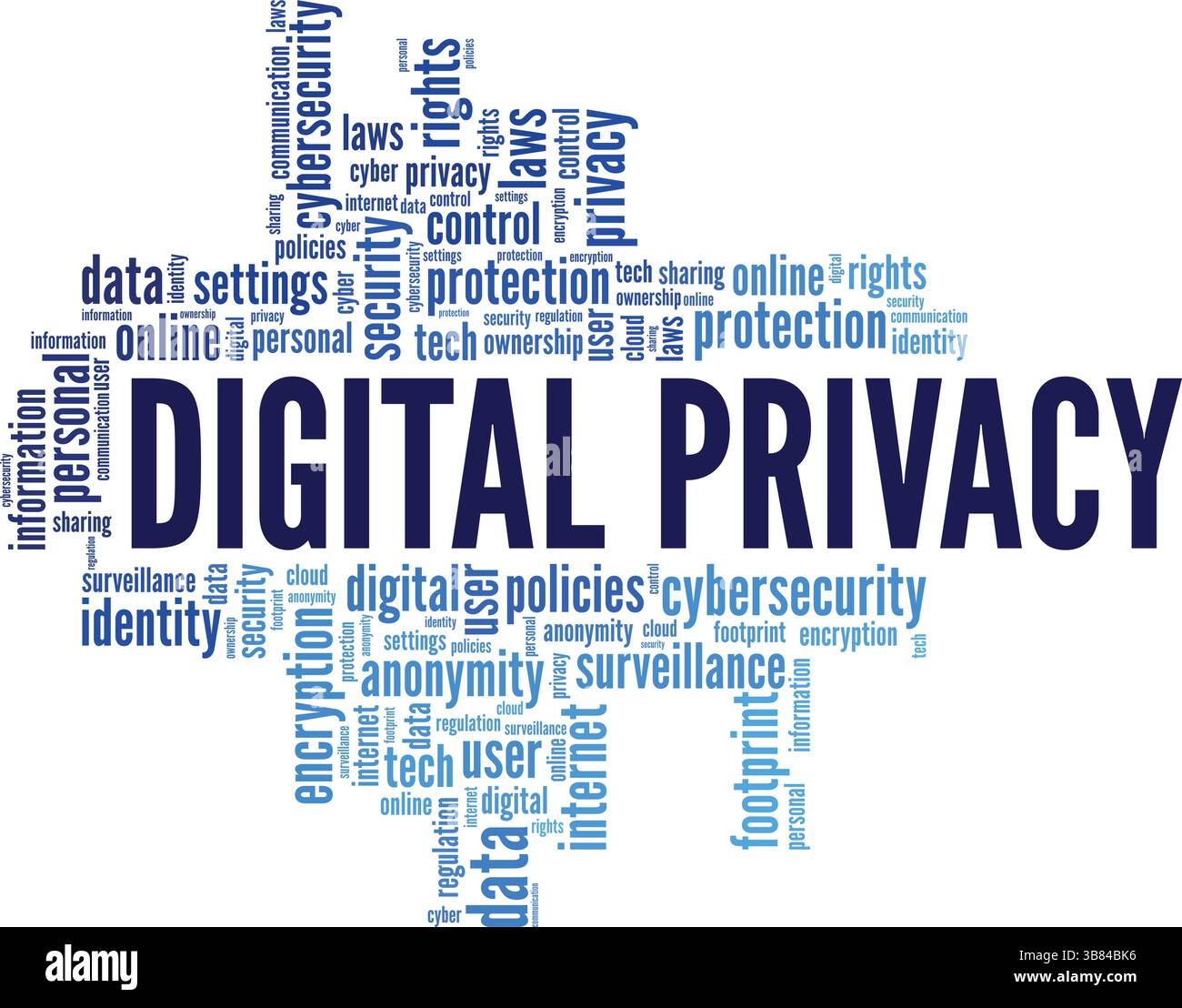 Digital Privacy word cloud conceptual design isolated on white ...
