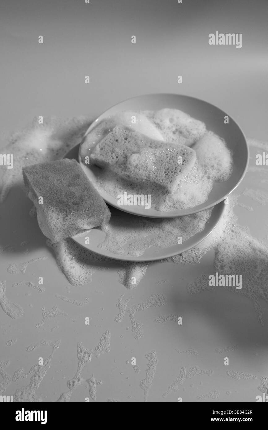 Foam sponge for washing dishes Stock Photo - Alamy