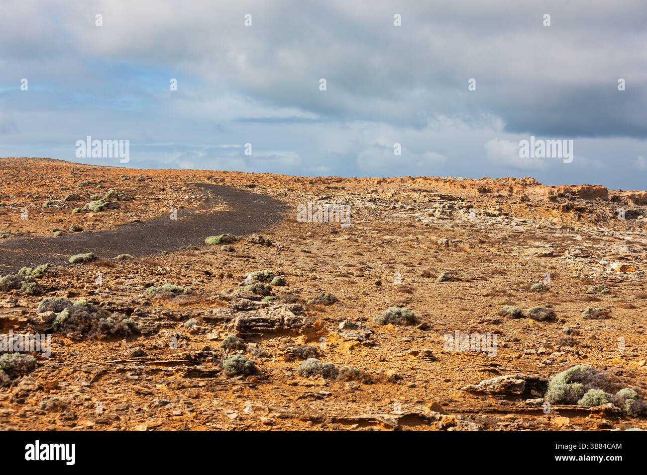 Arid terrain at Cape Bridgewater. Dry hostile environment just off the ...