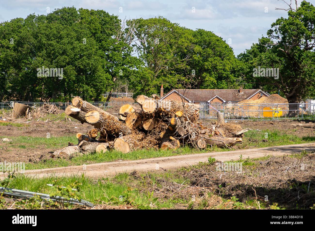 Windsor, Berkshire, UK. Many Windsorians are appalled that Vistry Homes have destroyed numerous ...