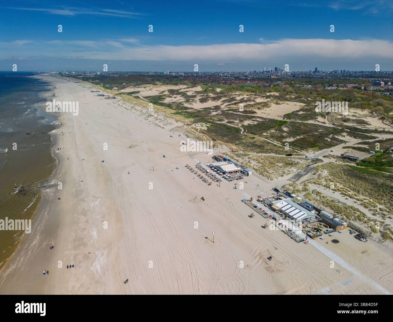 Aerial view of a wide sandy beach with beach bars and dunes, stretching ...
