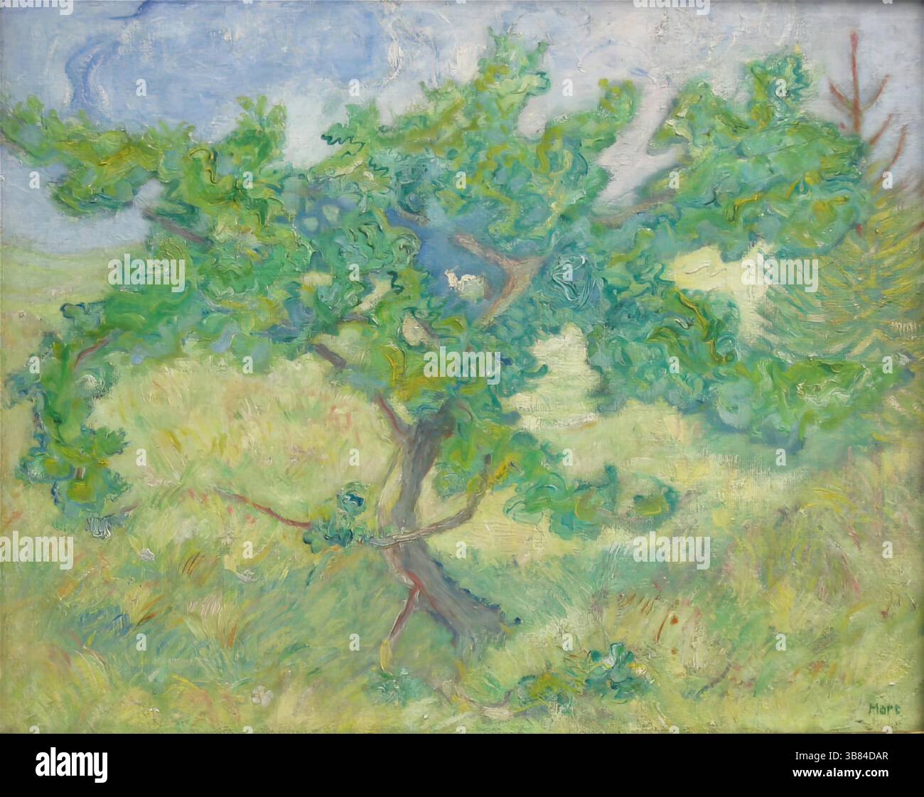 Little Oak Tree, 1909 (Painting) Marc, Franz (1880-1916) German Stock ...