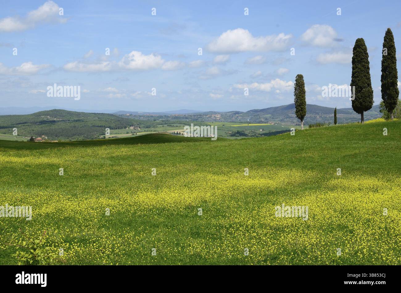 One of the most beautiful country landscapes in Tuscany Stock Photo - Alamy