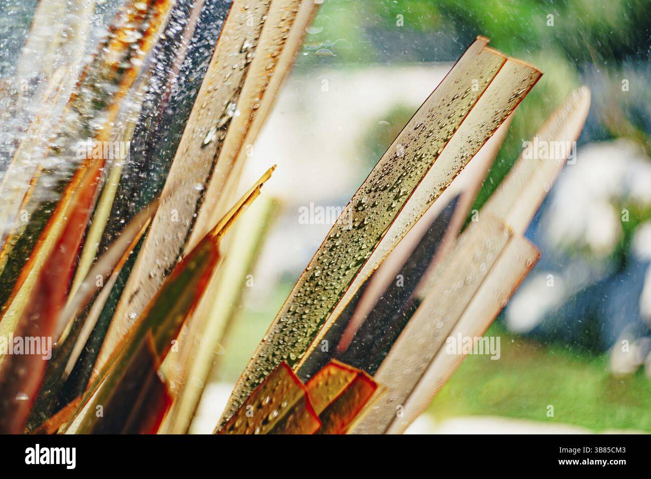 Brown thin leaves in drops of water. Blur Stock Photo - Alamy