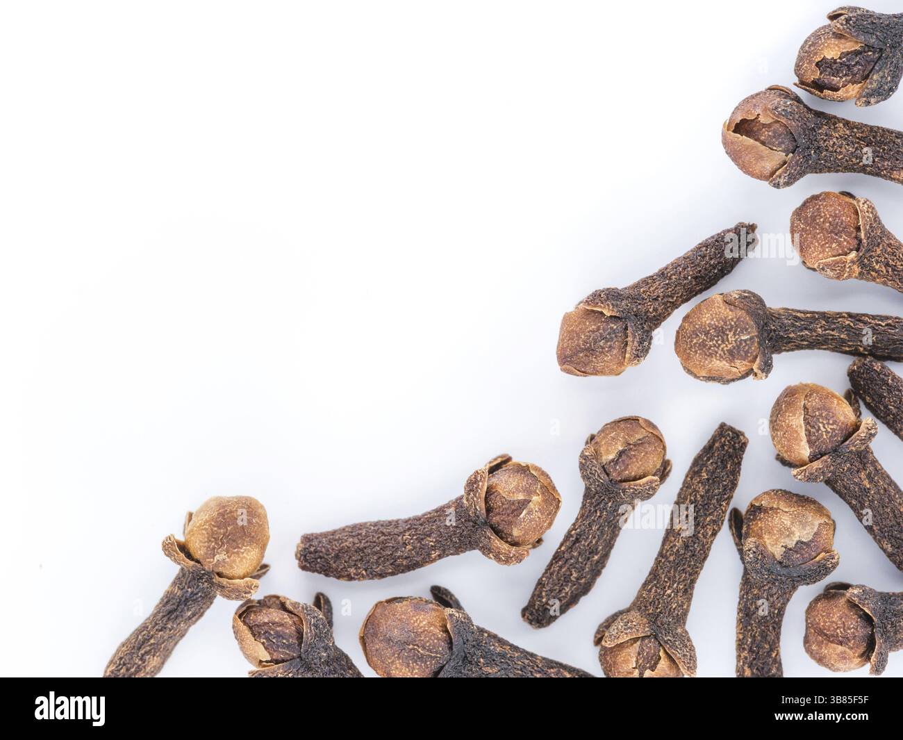 Cloves spice on white background with copy space. Isolated one edge ...