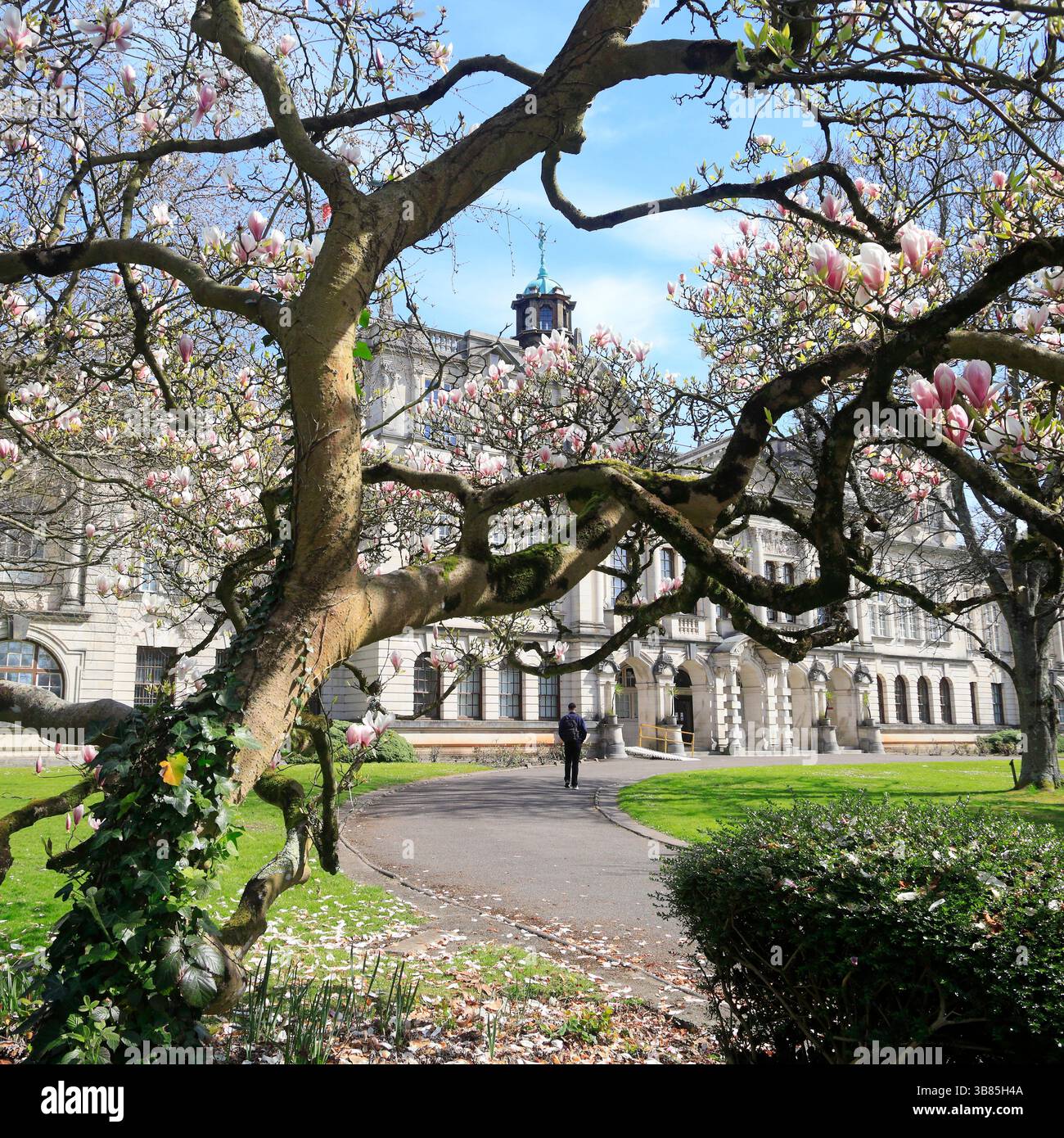 Cardiff University main building, Cathays Park, Cardiff, South Wales ...