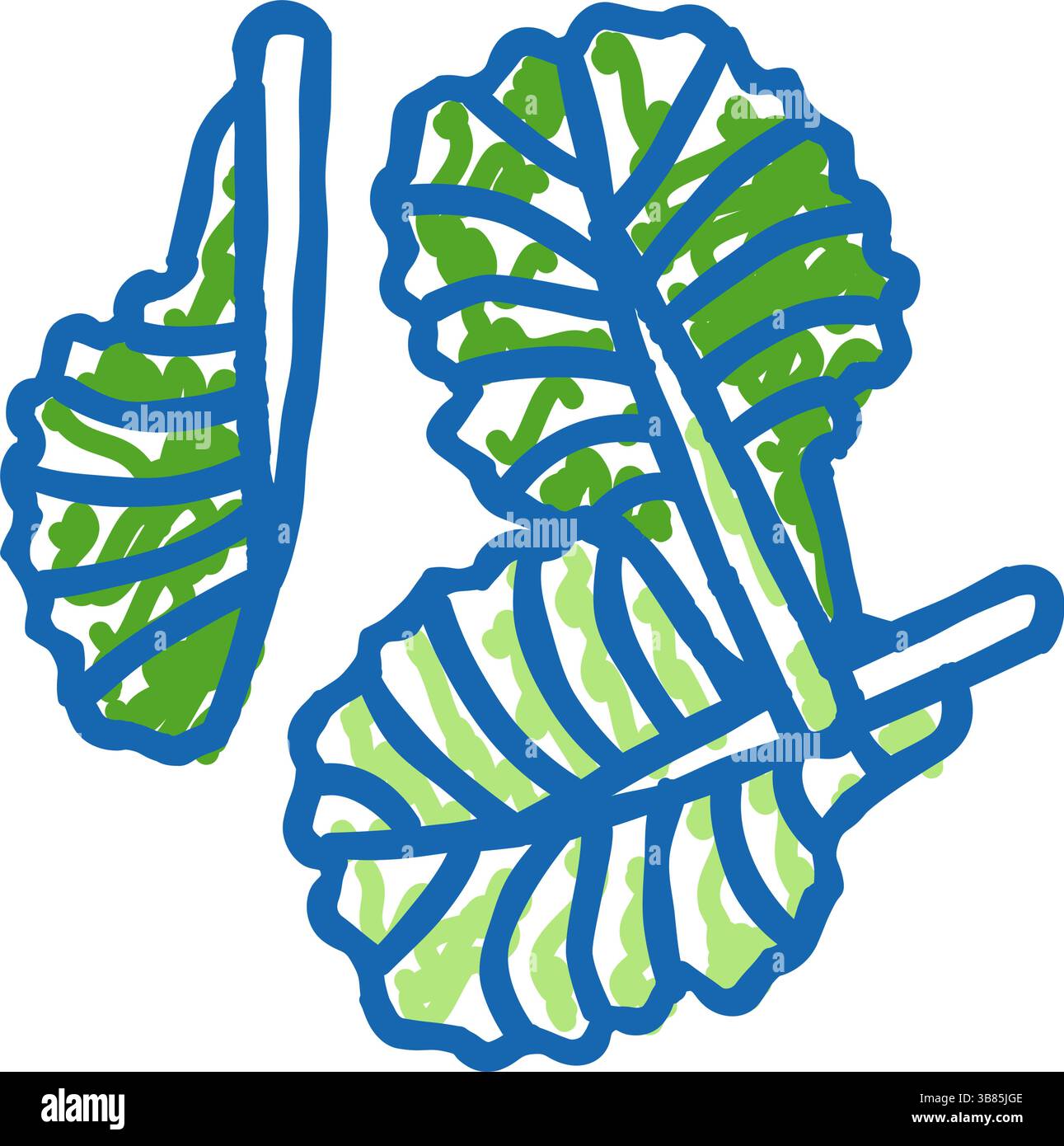 lettuce slice food cut icon doodle illustration Stock Vector Image ...