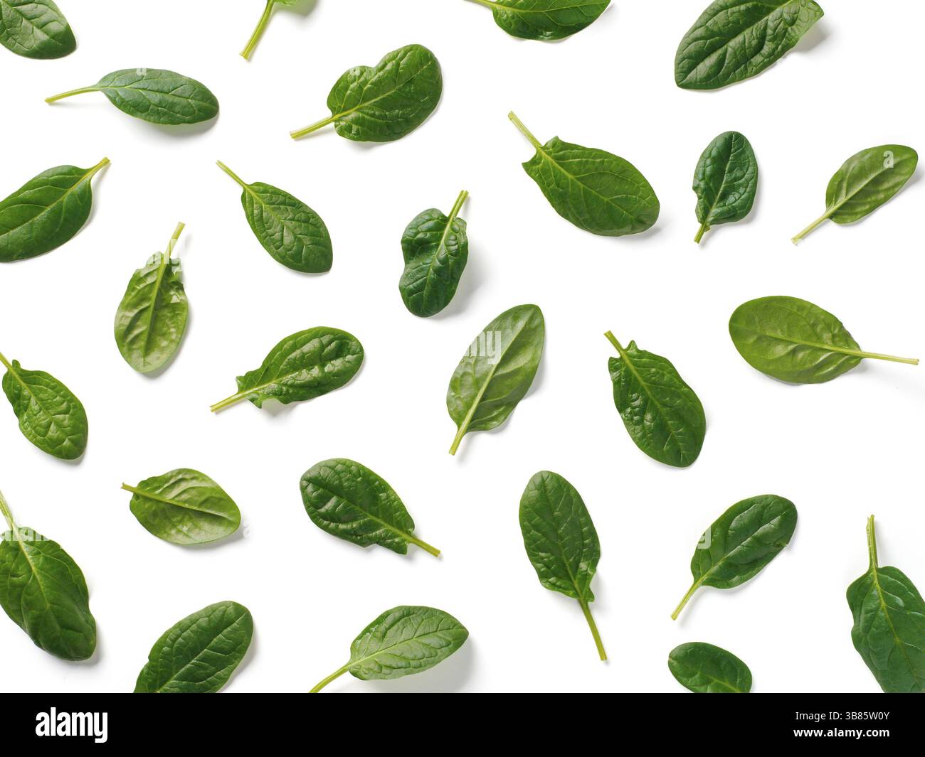 Pattern from baby spinach leaves. Fresh green baby spinach isolated on ...