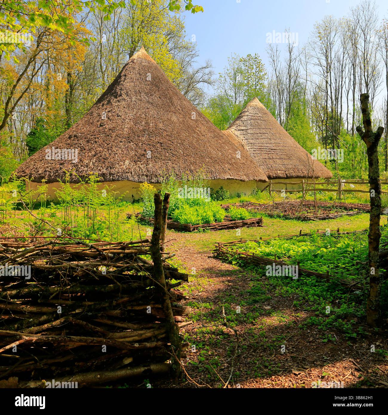 Bryn Eryr thatched iron age celtic roundhouses, St Fagans National ...