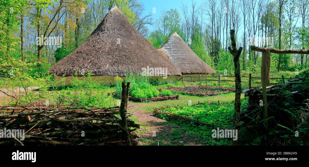 Bryn Eryr thatched iron age celtic roundhouses, St Fagans National ...