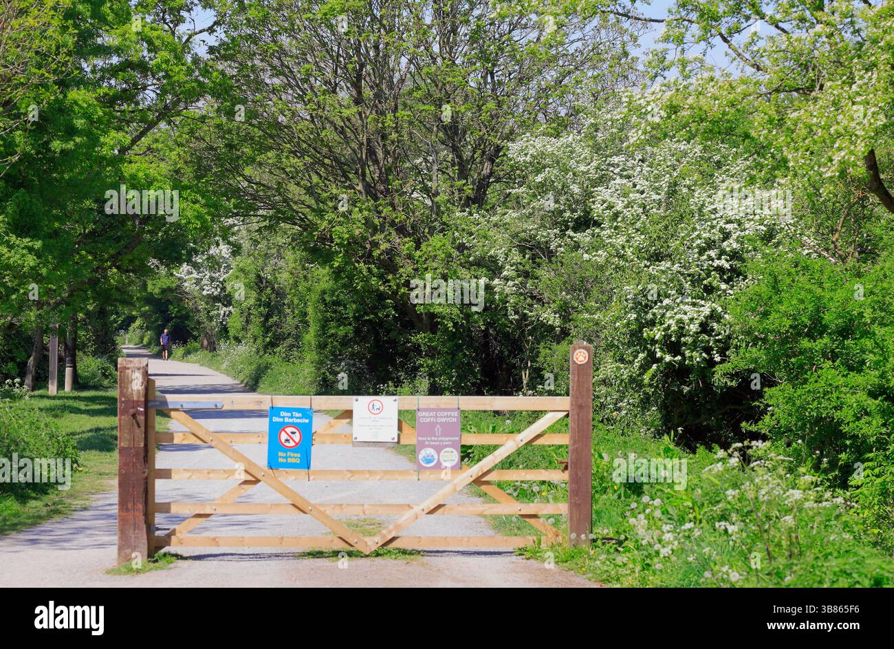 Cosmeston Lakes and Country Park, Penarth, Cardiff, South Wales.. Taken ...