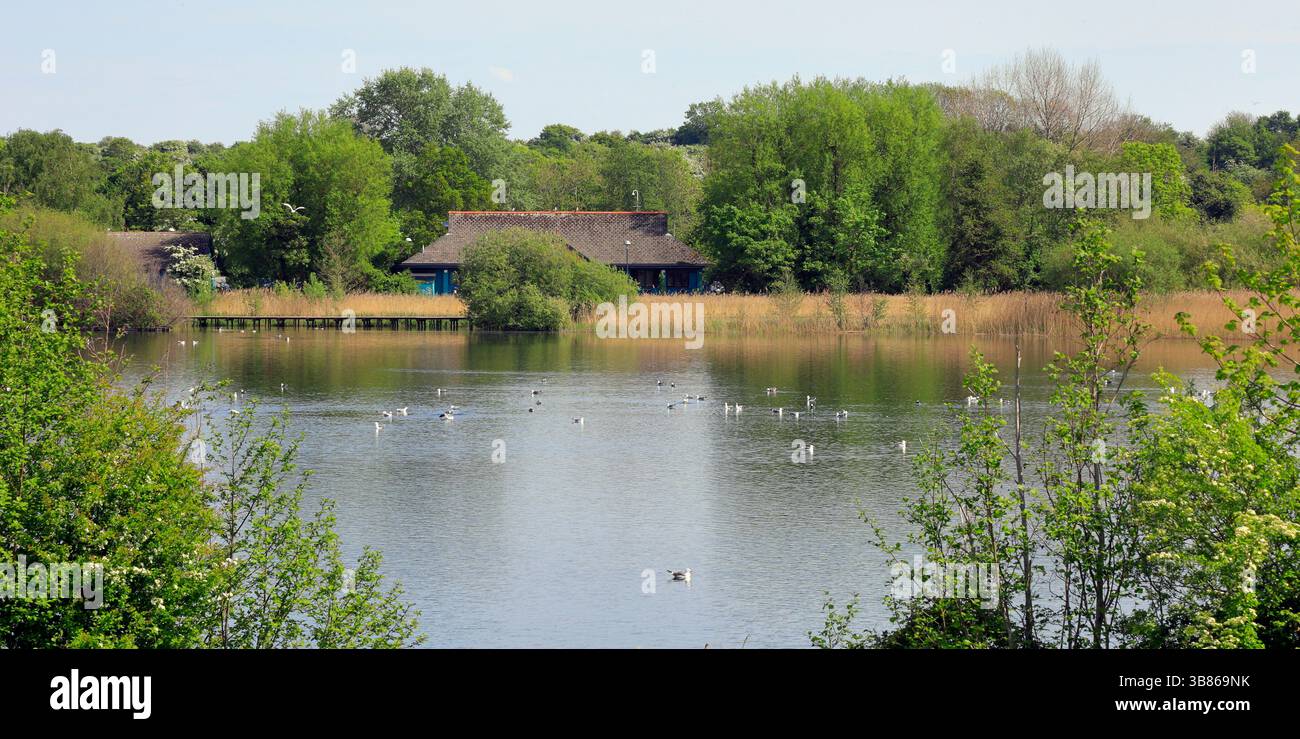 Cosmeston Lakes and Country Park, Penarth, Cardiff, South Wales.. Taken ...