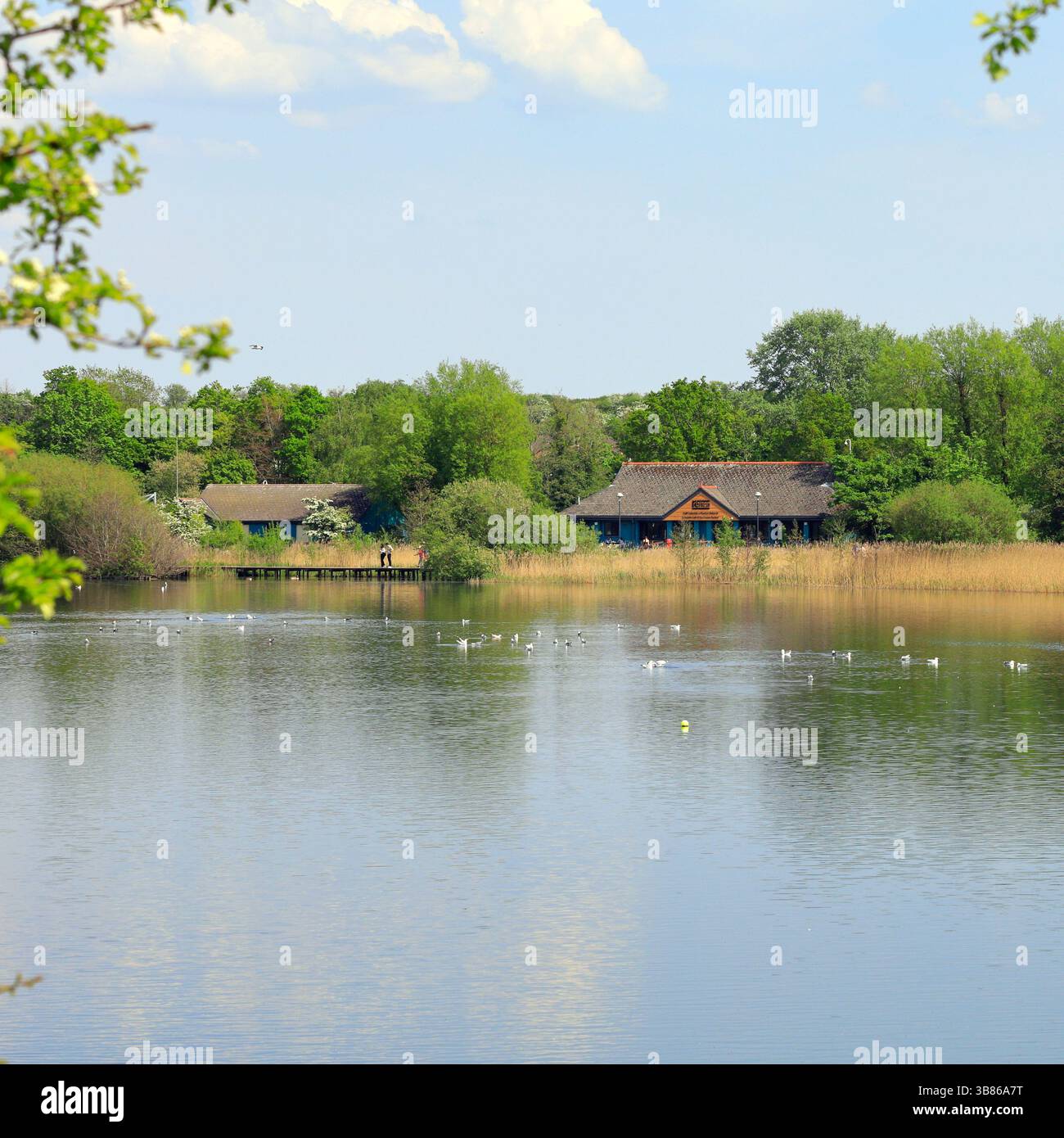Cosmeston Lakes and Country Park, Penarth, Cardiff, South Wales.. Taken ...