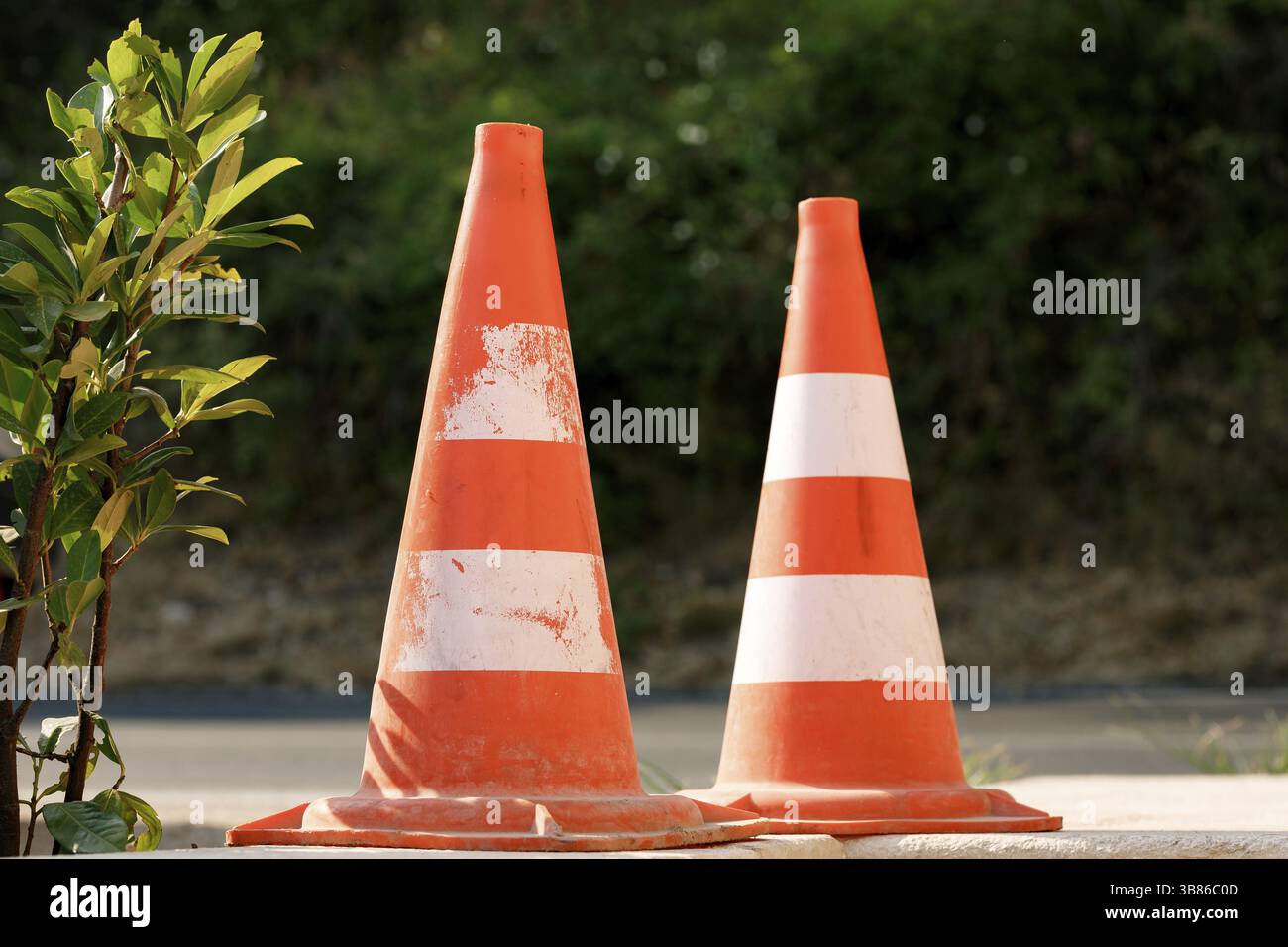 Orange traffic cones stand on the asphalt in a line, close-up Stock ...