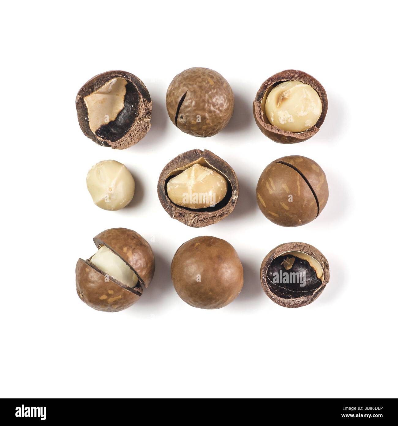 Heap of macadamia nuts on white background with clipping path.. Set of ...