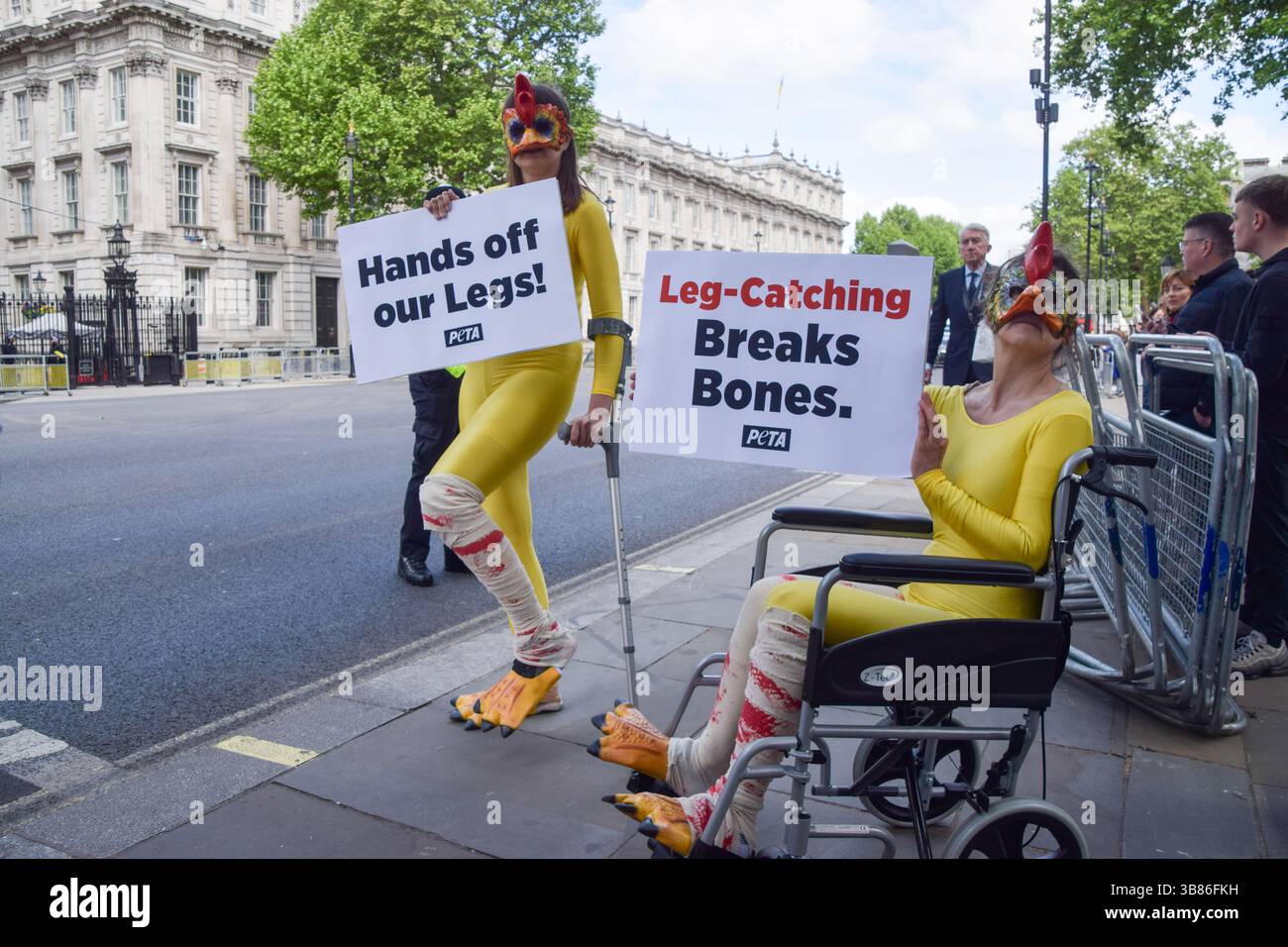 London, UK. 7th May 2025. PETA activists dressed as chickens with ...