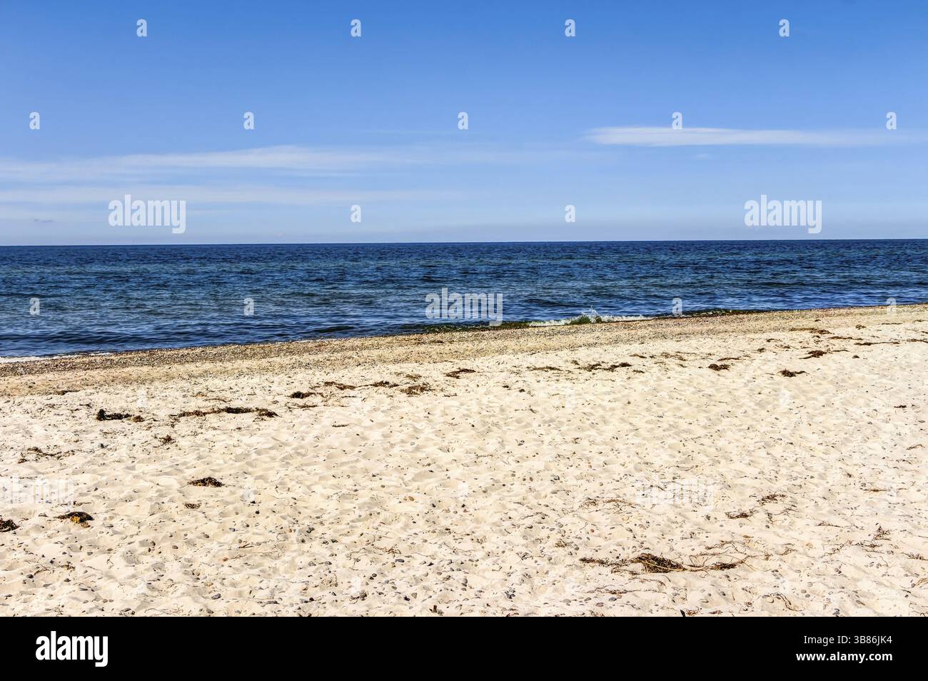 Beach coastline of the Baltic Sea in summer at Darss peninsula, Germany ...