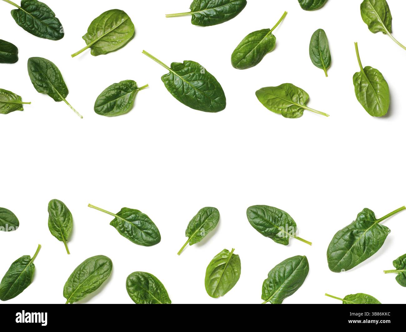 Pattern from baby spinach leaves with copy space in center. Fresh green ...