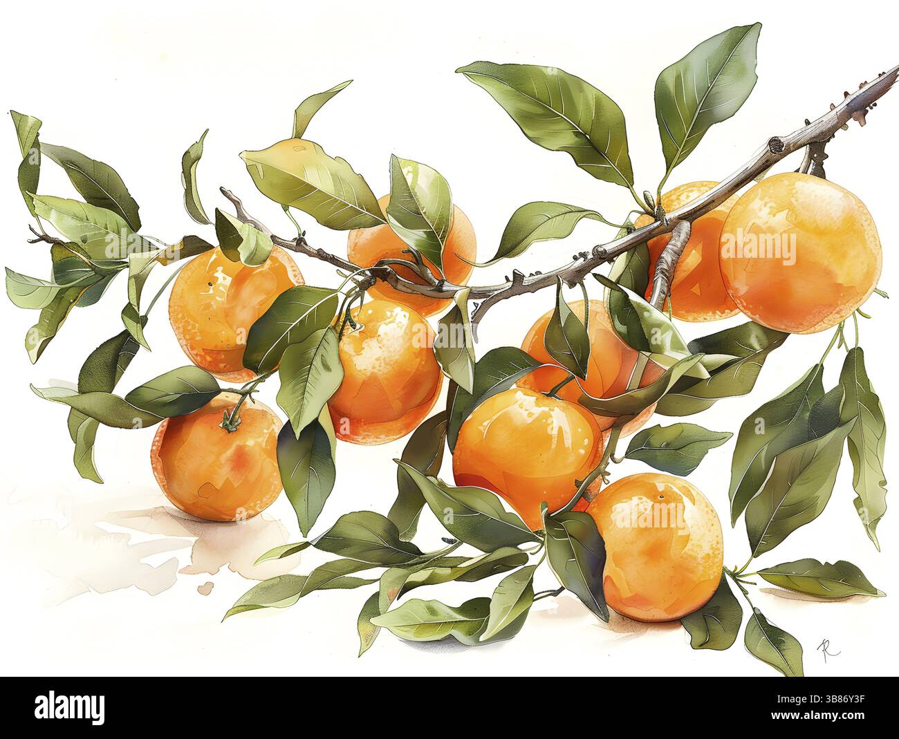 Very popular ingredient Cut Out Stock Images & Pictures - Alamy