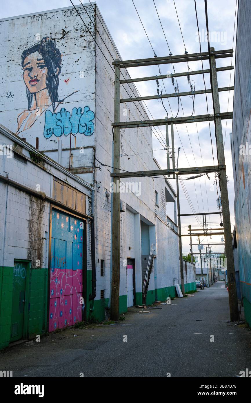 A Vancouver alleyway with a mural looking down from above in Mount ...