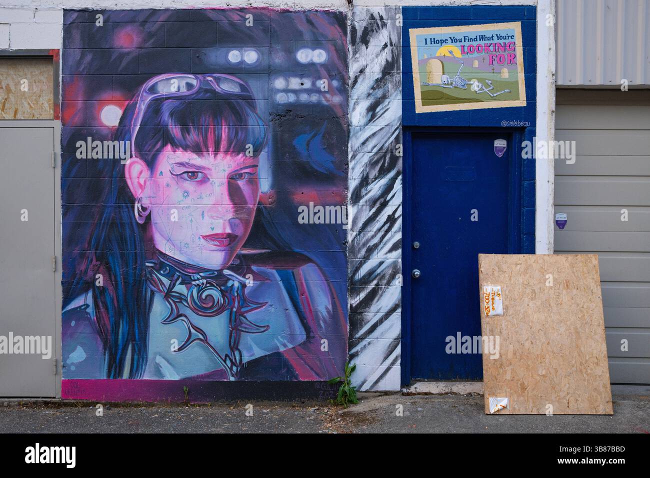 A colourful mural along Astro Alley in Mount Pleasant, Vancouver, BC ...