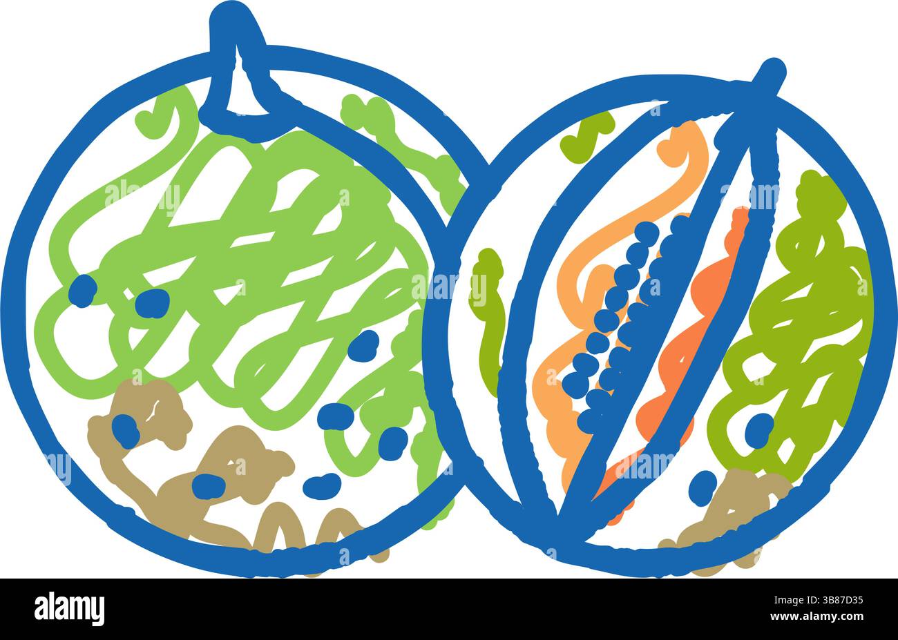 Background green musk orange Stock Vector Images - Alamy