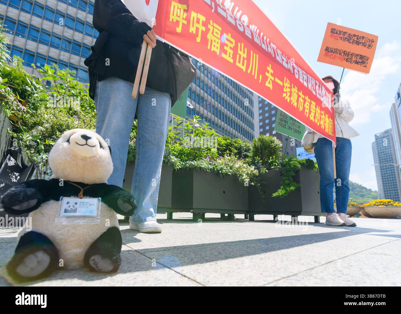Fans of the South Korean-born giant panda Fu Bao protest near the ...