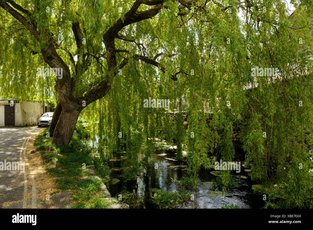 The River Eea in Cartmel, Cumbria, UK Stock Photo - Alamy