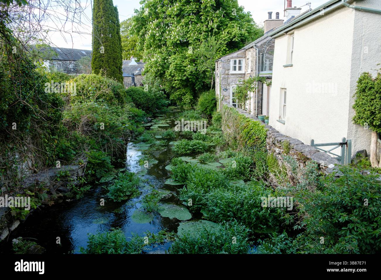 The River Eea in Cartmel, Cumbria, UK Stock Photo - Alamy