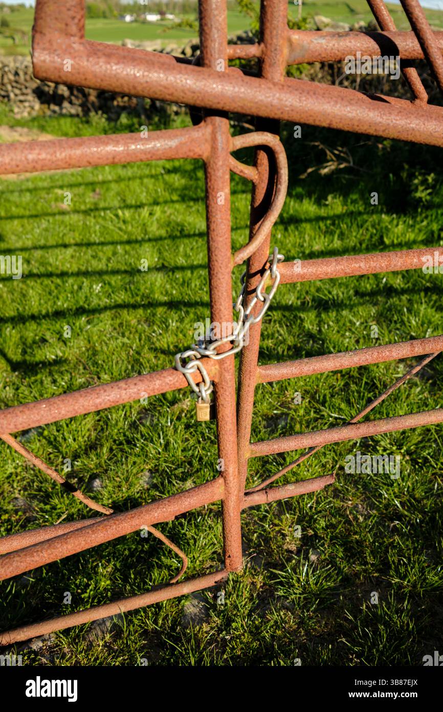 Galvanised chain and lock on a rusty metal gate Stock Photo - Alamy