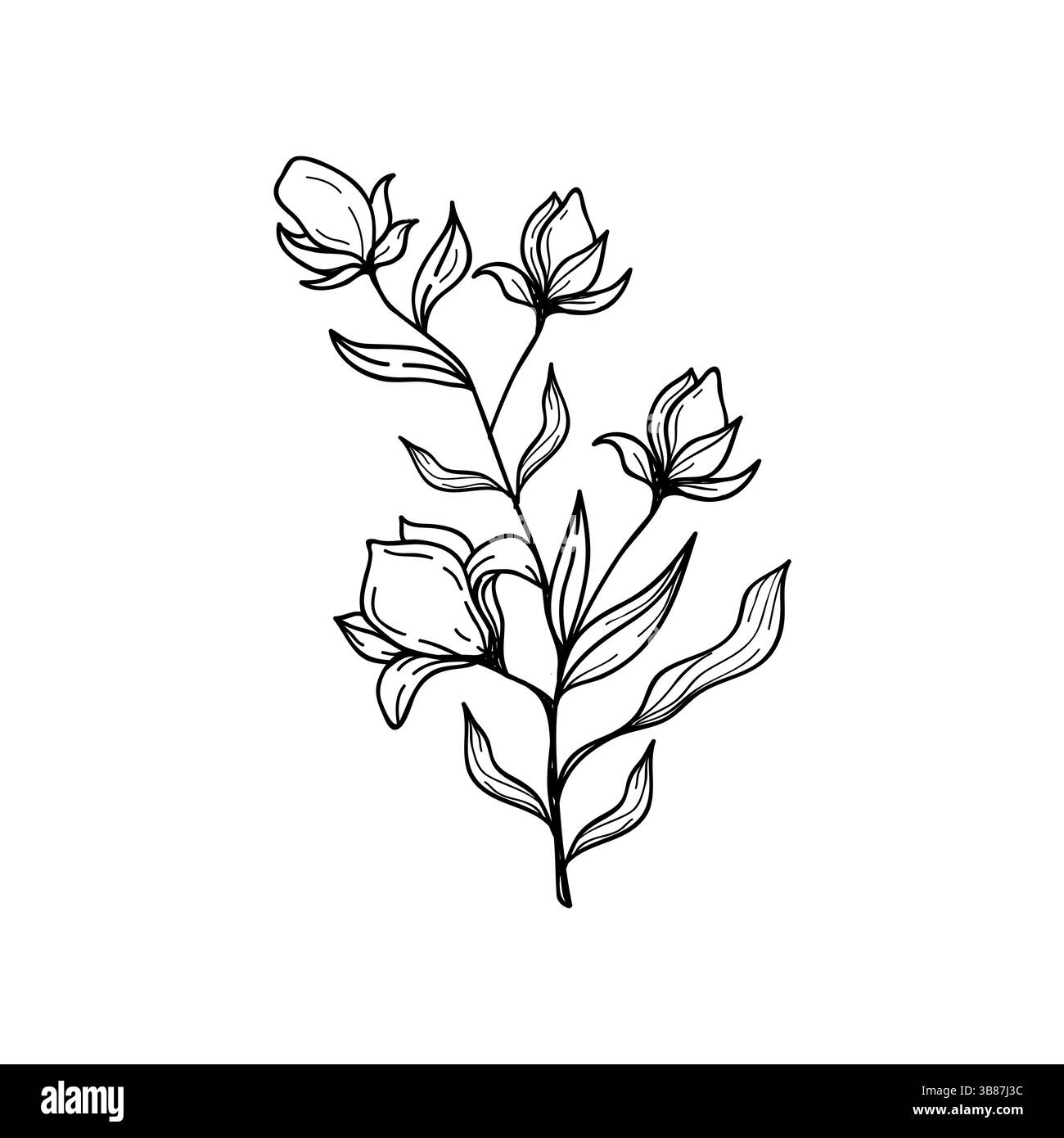 Retro handdrawn floral line art Stock Vector Image & Art - Alamy