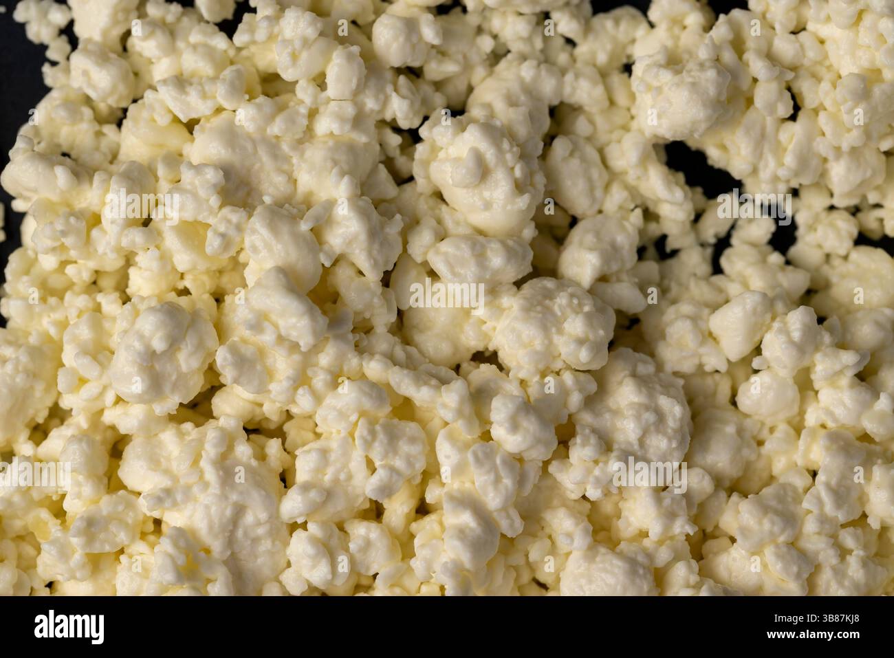 fresh cottage cheese made from milk in the form of lumps of white color ...