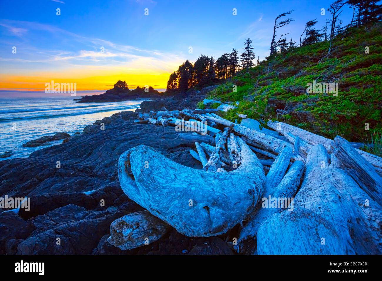 North America, Canada, British Columbia, Vancouver Island, Tofino, Cox ...