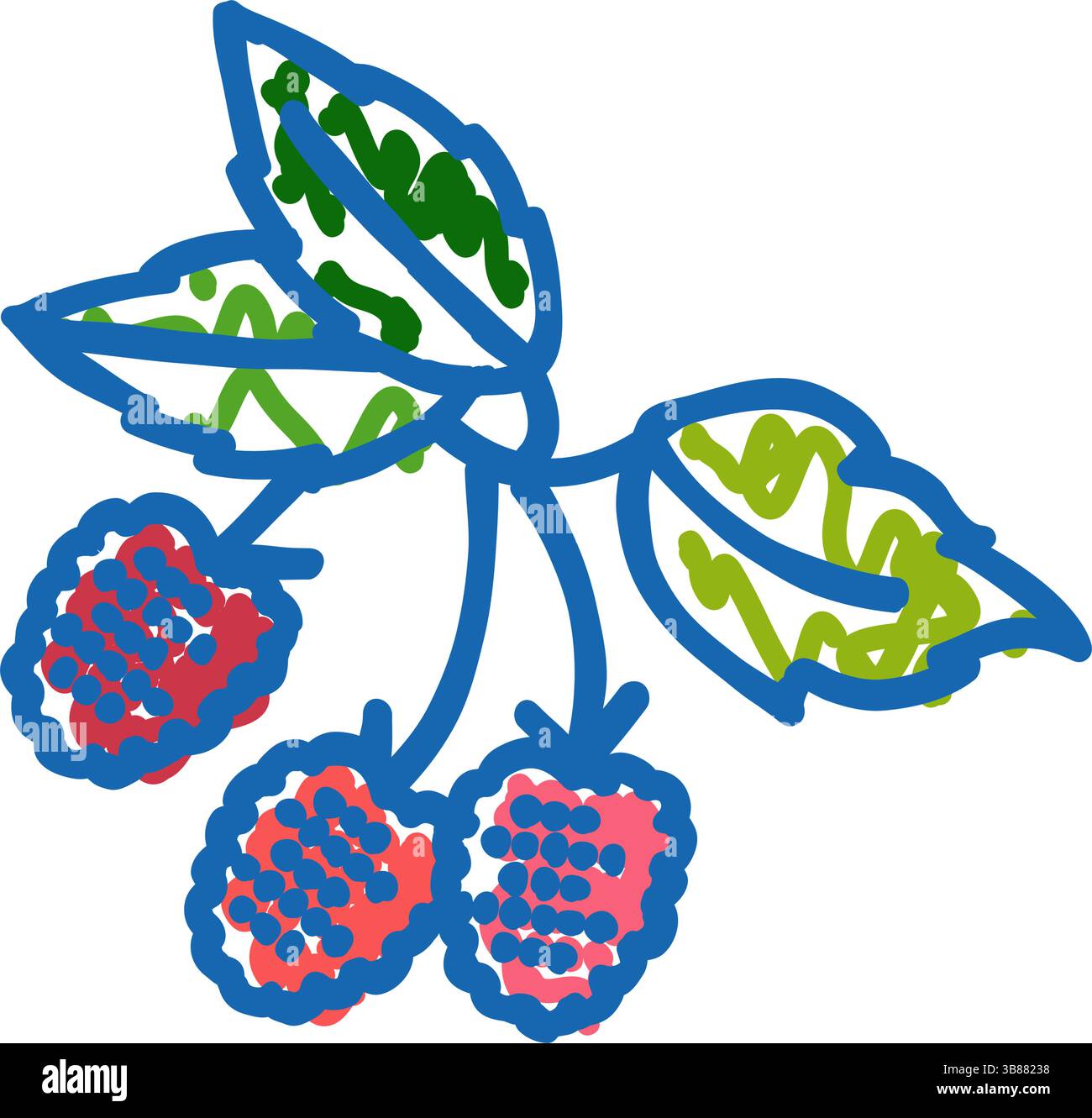 raspberry plant delicious icon doodle illustration Stock Vector Image ...